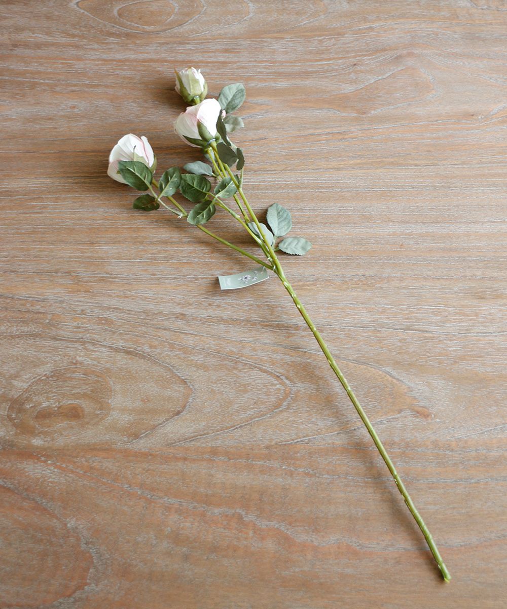 2M2 | ブランドジュリエ