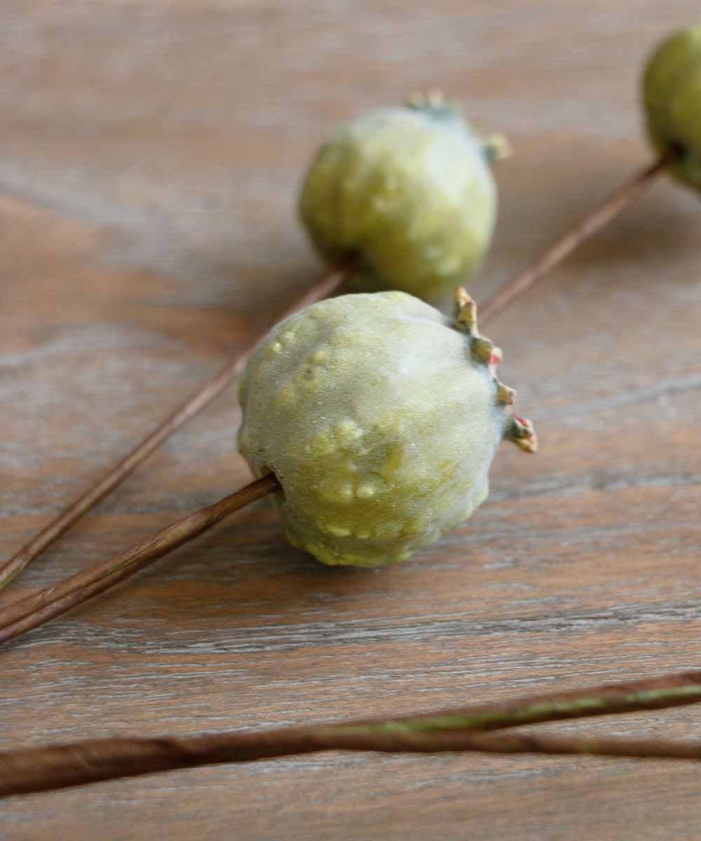 2M2 | ブランドジュリエ